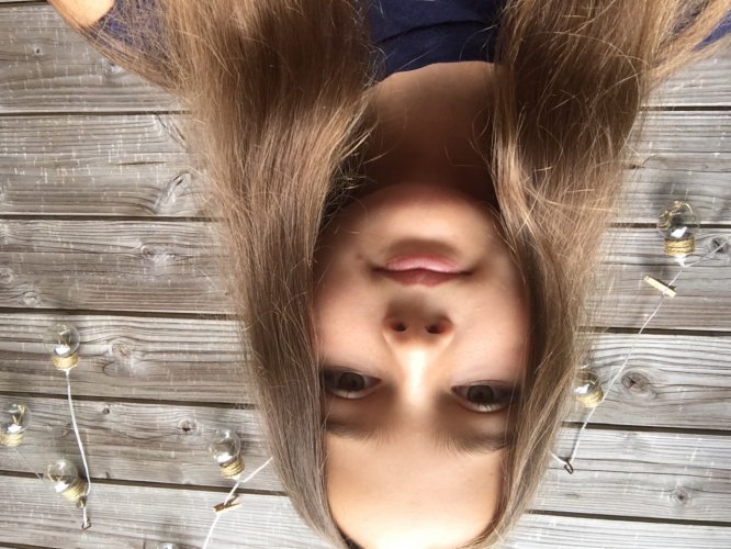 La collecte de Valentine Coffinet | Alvarum