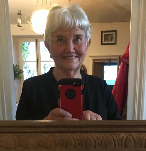 La collecte de anne marie rossier | Alvarum